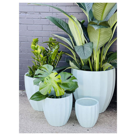 Pots – Page 4 – Simons Seconds